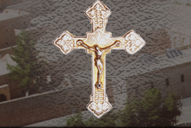 Welcome To Suryoyo NL